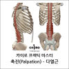 당산 척추교정 통증전문 카이로헬스교실의 카이로프랙틱 마스터 촉진 다열근 네이버 블로그
